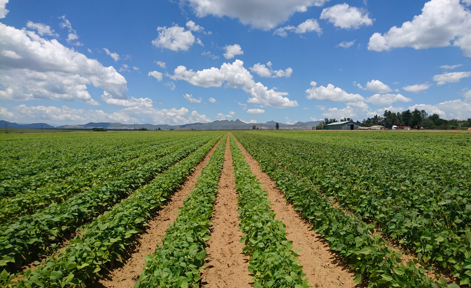 Welcome to The Preston Lab | Preston Lab